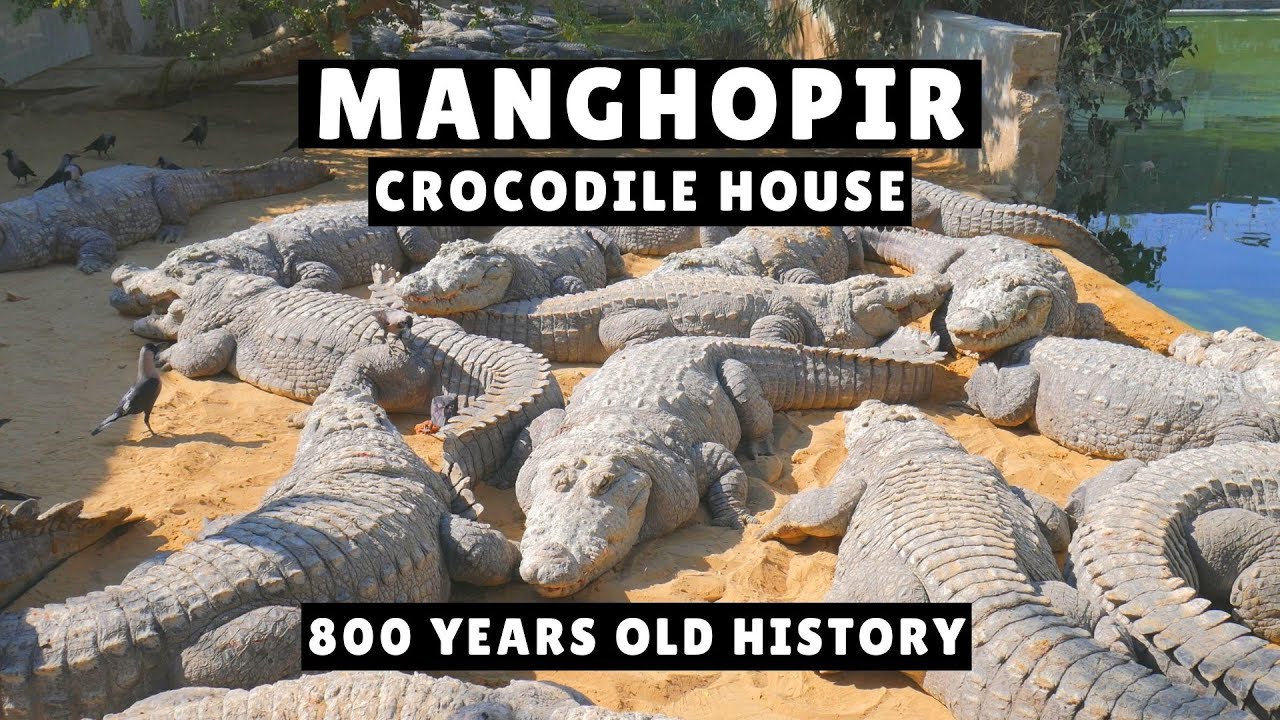 MANGHOPIR | منگھو پیر | CROCODILE HOUSE | 800 YEARS OLD HISTORY | OMER ...
