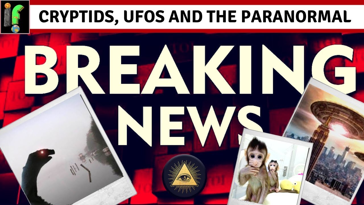 Cryptid Paranormal and UFO News. River cryptid seen, human hybrids and ...