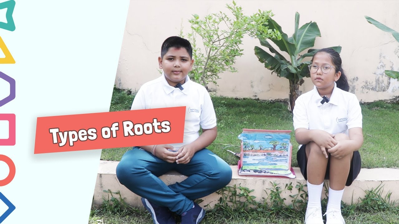 Types of roots | Science | Imperial World School - YouTube