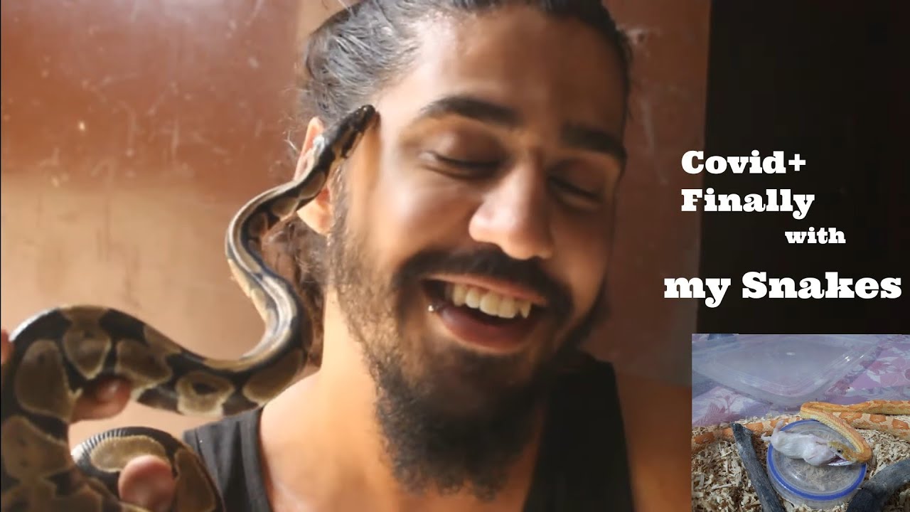 Day 5 of Isolation with Snakes - YouTube