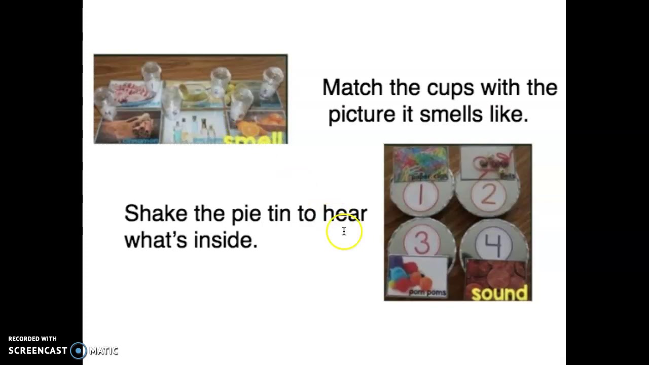 5 senses experiment directions - YouTube