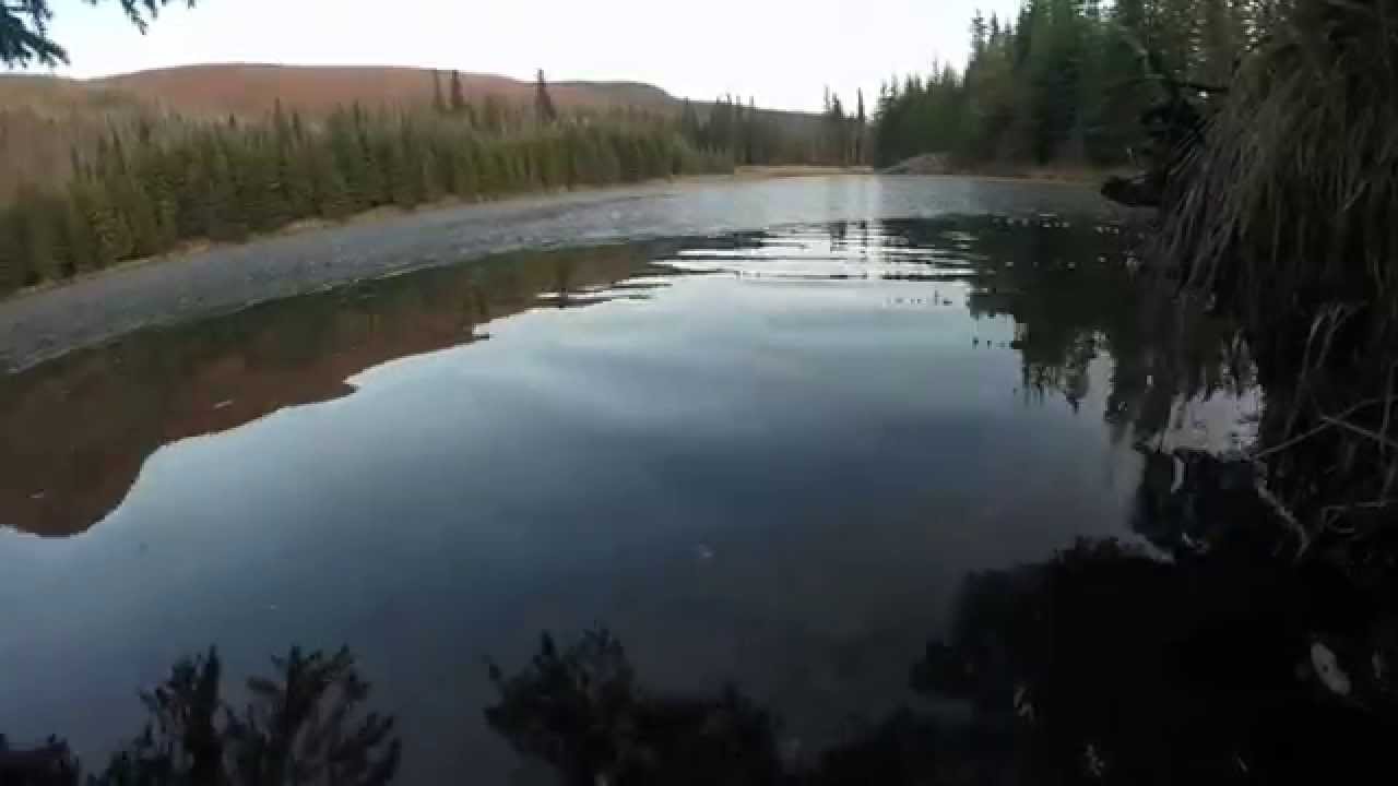 Hiking to Angel Rocks in Fairbanks, Alaska - YouTube