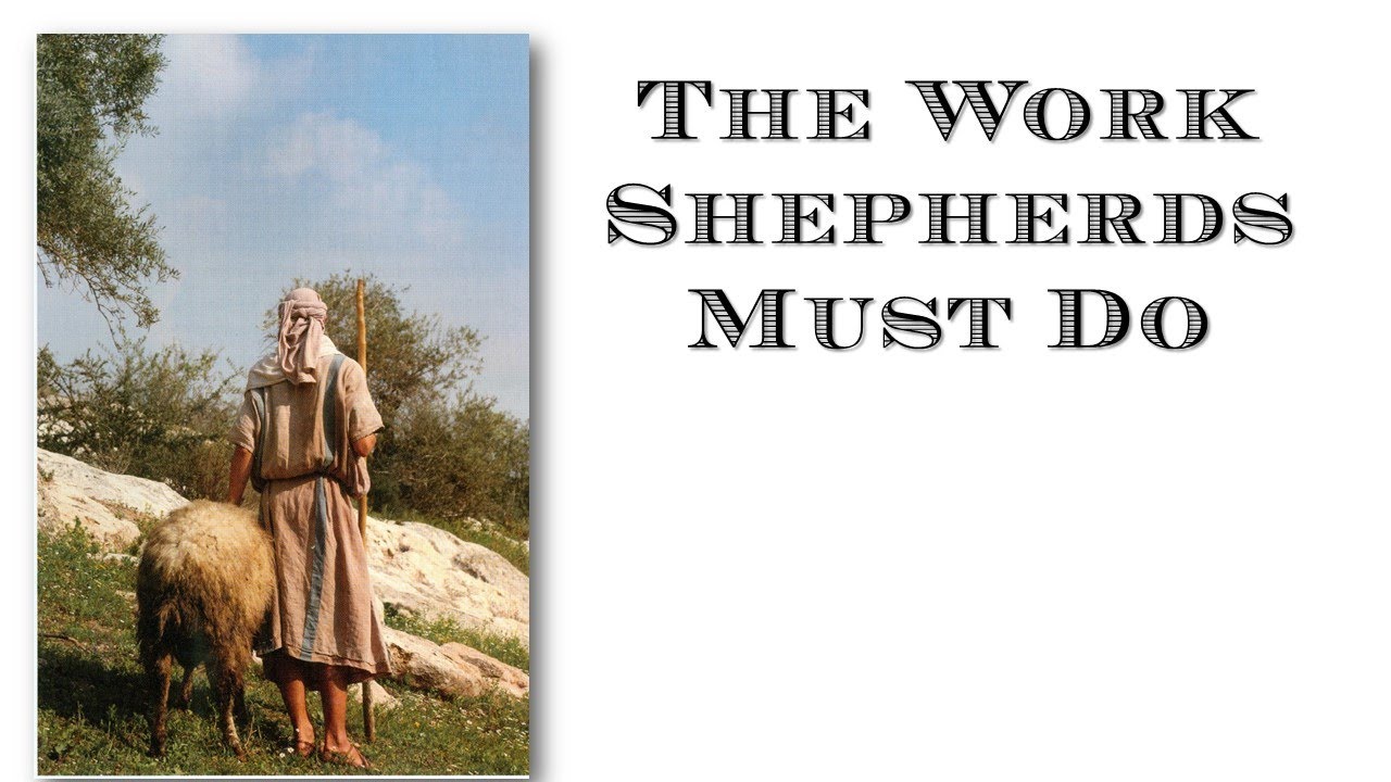 The Work Shepherds Must Do - YouTube