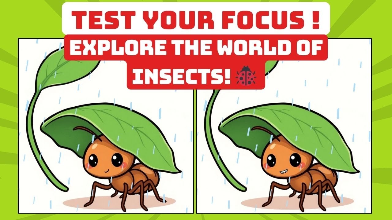 #72 Spot the Difference – Explore the World of Insects! 🐞 Can You Find ...