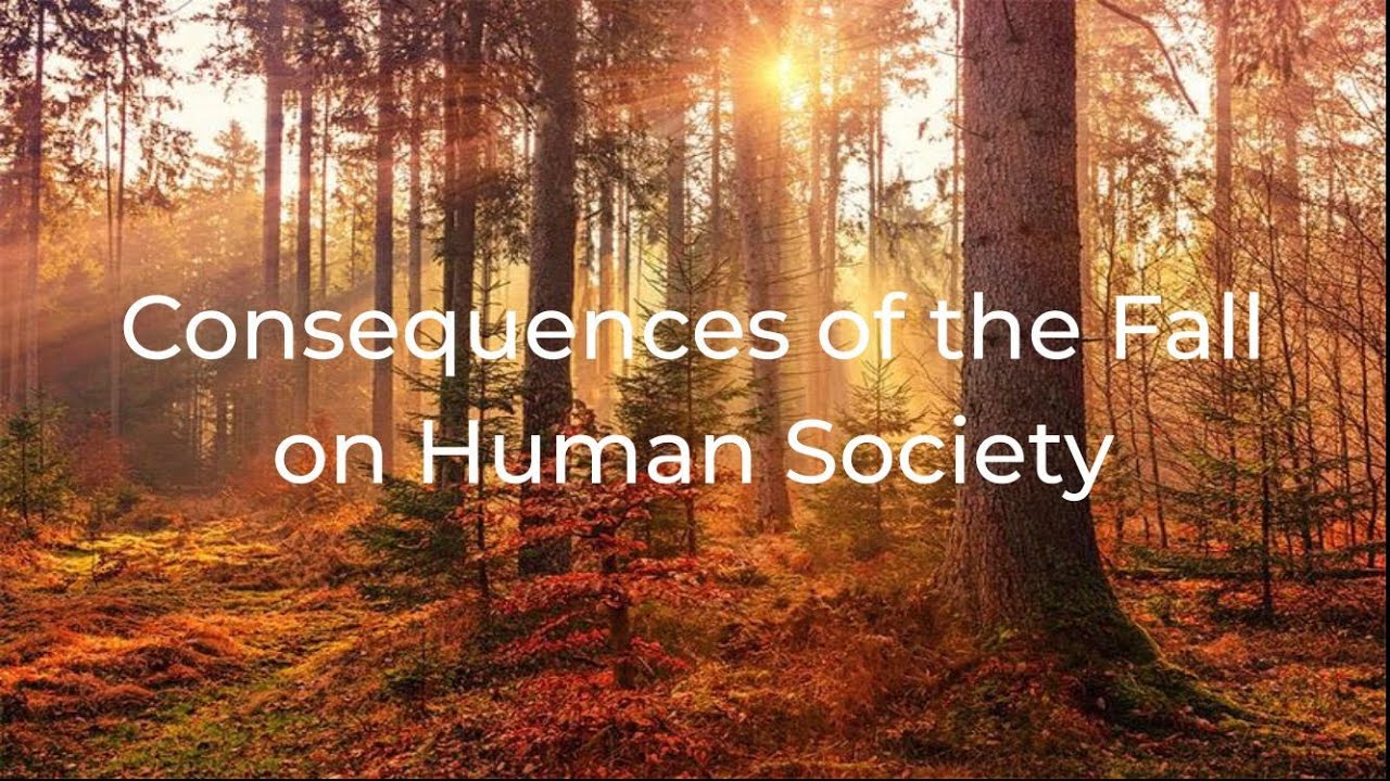 Consequences of the Human Fall - YouTube