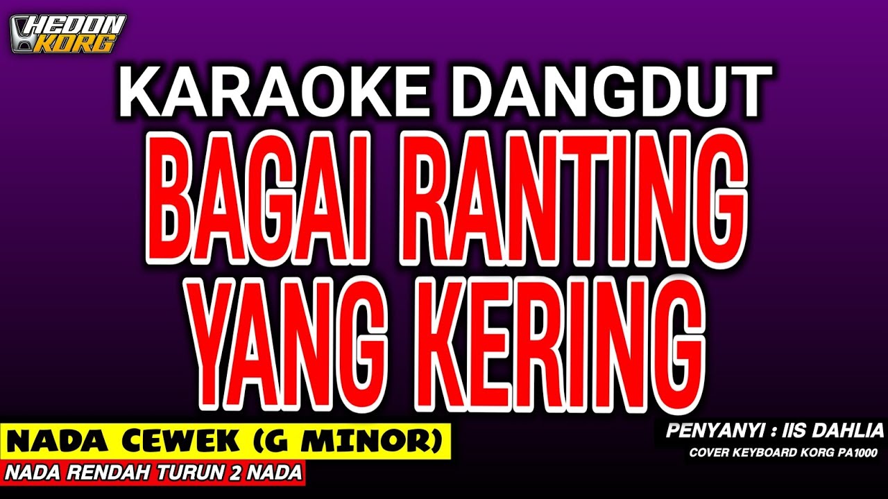 BAGAI RANTING YANG KERING KARAOKE DANGDUT - IIS DAHLIA - YouTube