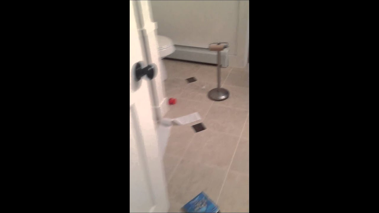 TP-ing the house - YouTube