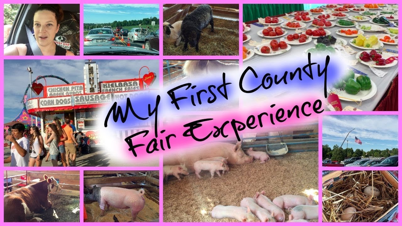 My First County Fair Experience - YouTube