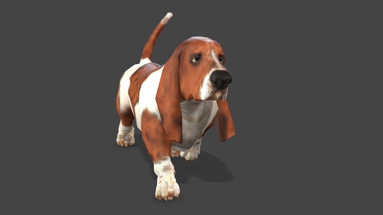 Basset Hound Animated - YouTube