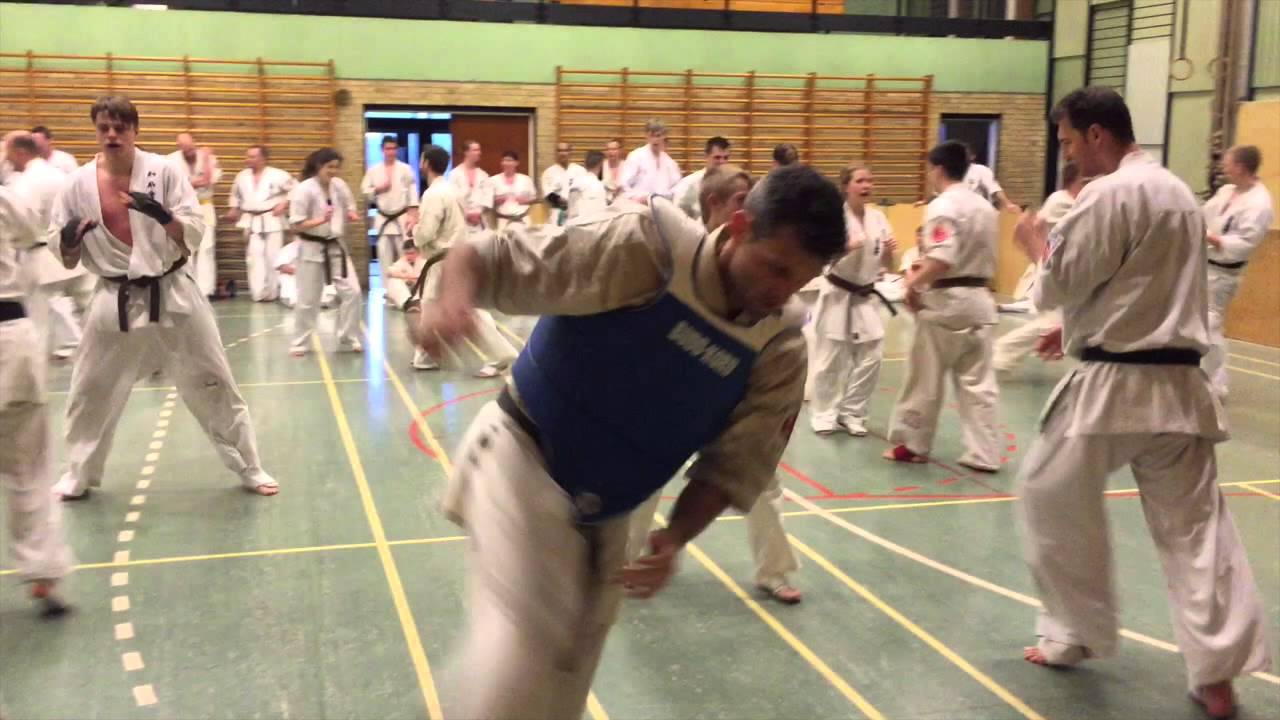 Figthing seminar with Valeri Dimitrov 2015 - YouTube