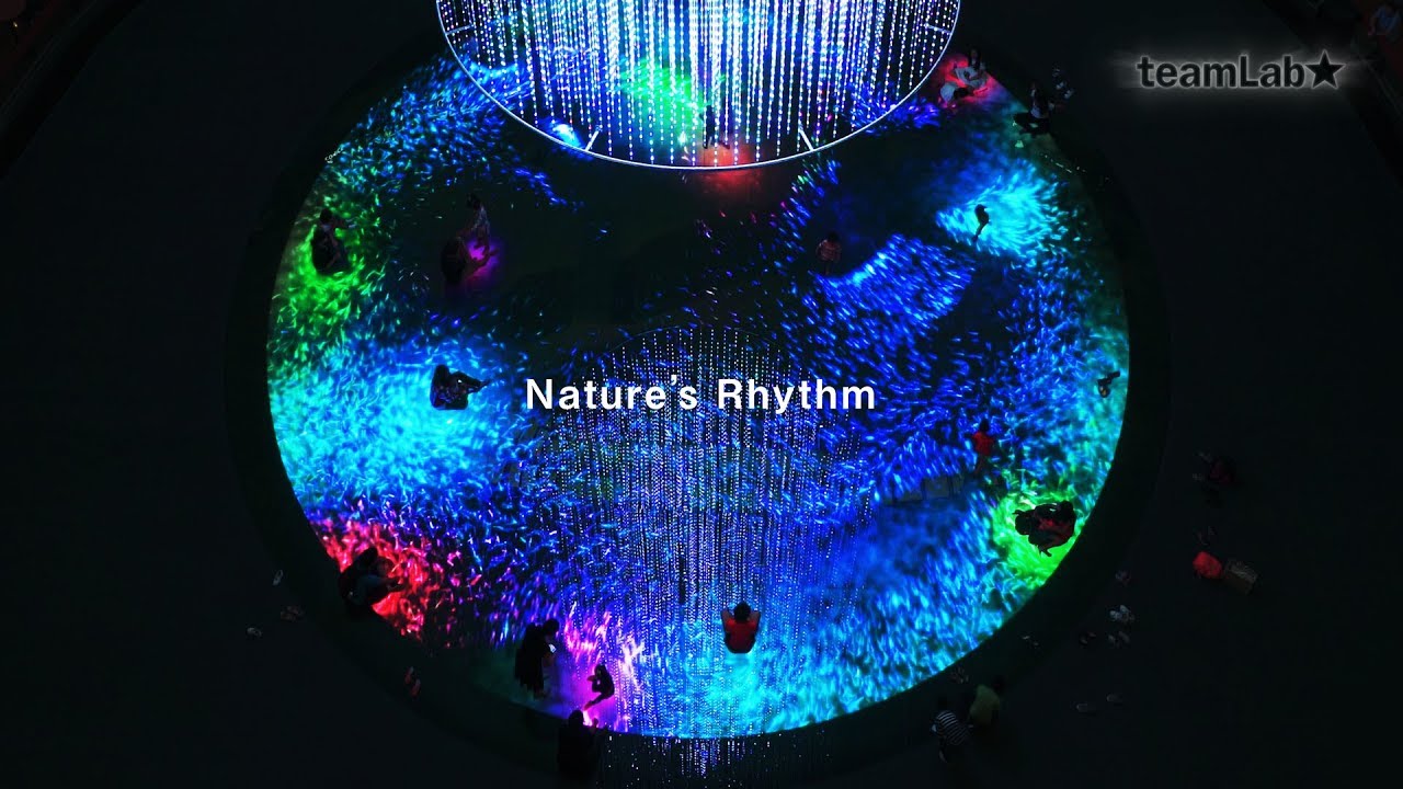 Nature’s Rhythm - YouTube