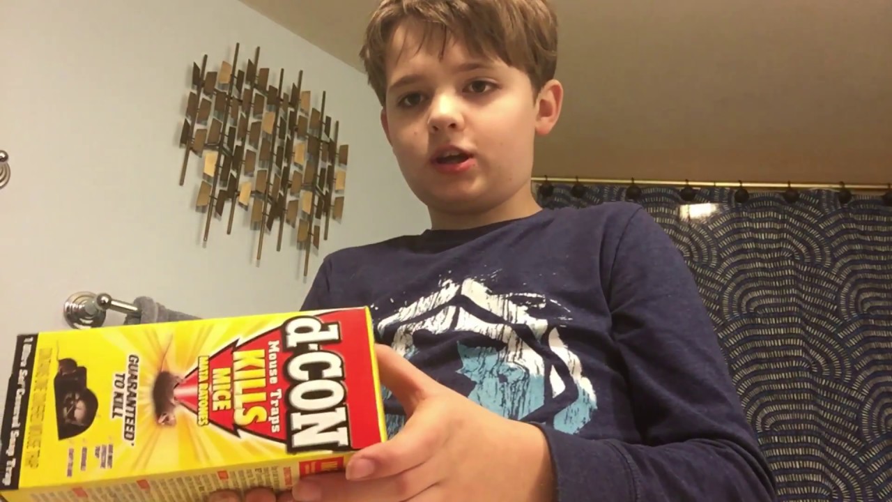 D-con covered snap trap review - YouTube