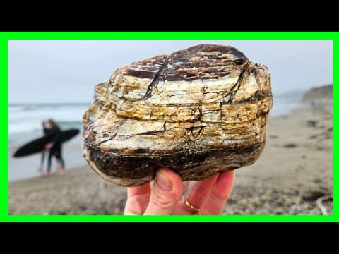 Look at the Root Beer Agates I Found at the Beach! - YouTube