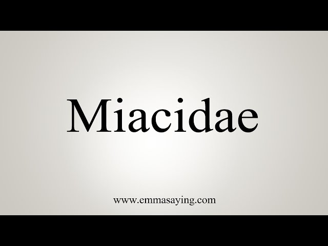 Miacidae
