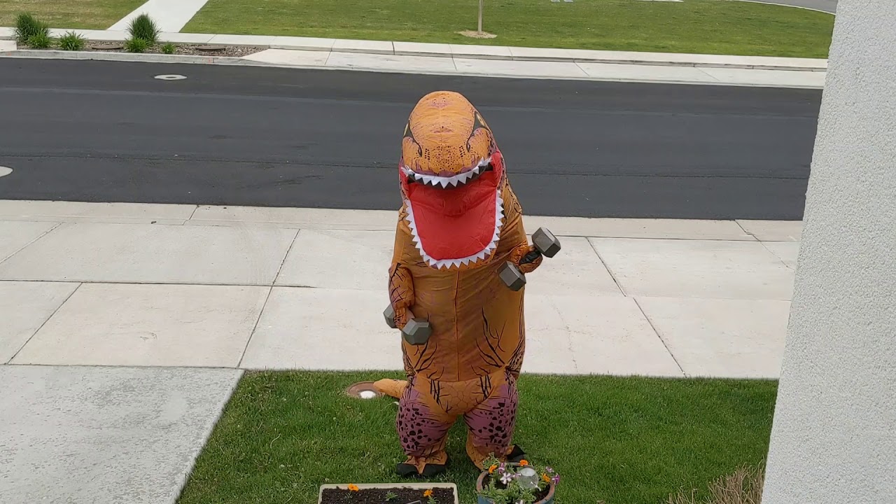 Coach T-Rex Working out! - YouTube