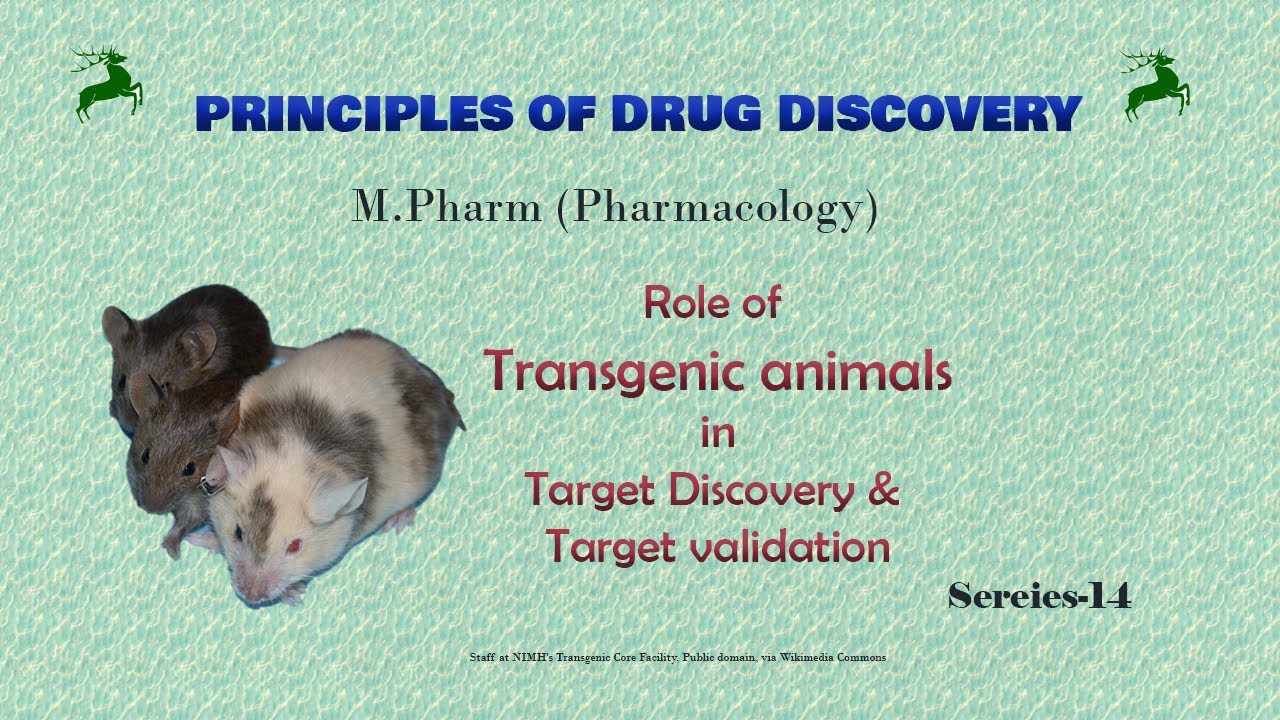 Transgenic Animals Mice