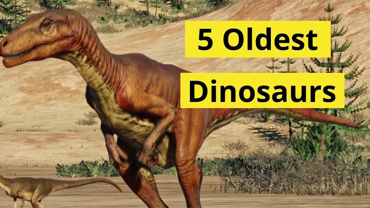 5 Oldest Dinosaurs Ever Discovered in the World - YouTube