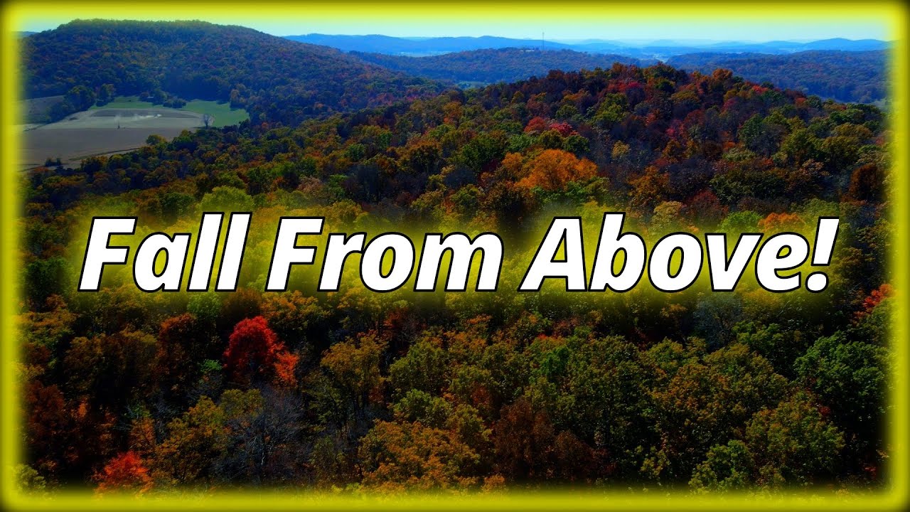 Fall From Above / Drone Flight / PawPaw Mountain - YouTube