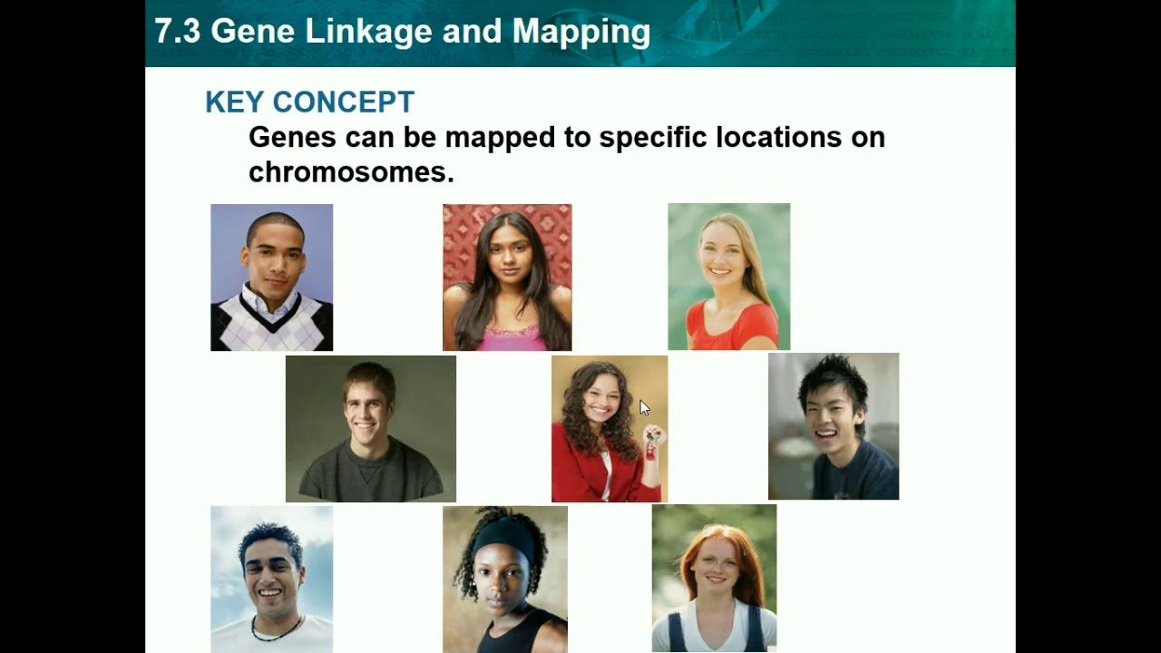 Biology CH 7 - Extending Mendelian Genetics - YouTube