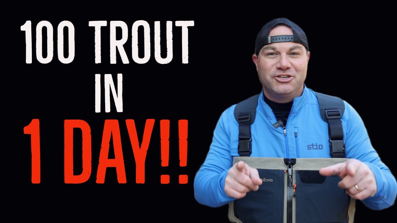 I caught 100 trout fly fishing in 1 day...YOU can too!! - YouTube