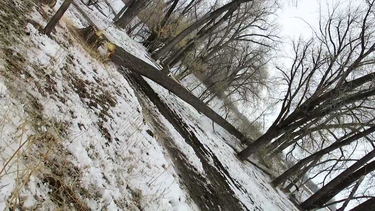 Epic JO tree, very dangerous - YouTube