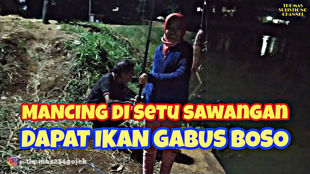MANCING DI SETU SAWANGAN DEPOK DAPAT GABUS BOSO/GABUS MALAS. - YouTube