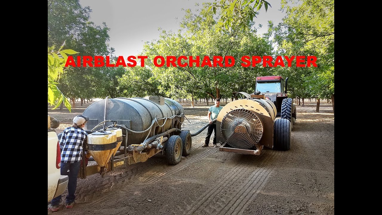 Spraying Pecan Trees - YouTube