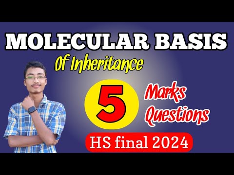 Most Important 5 Marks long questions of Molecular Basis Of Inheritance Class 12 Board | #2024 ...