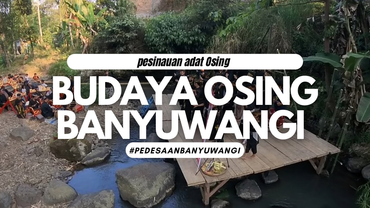Budaya suku Osing Banyuwangi | Pementasan oleh Pesinauan adat Osing ...