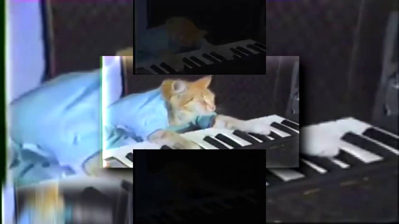 YTPMV Keyboard Cat Scan720P - YouTube