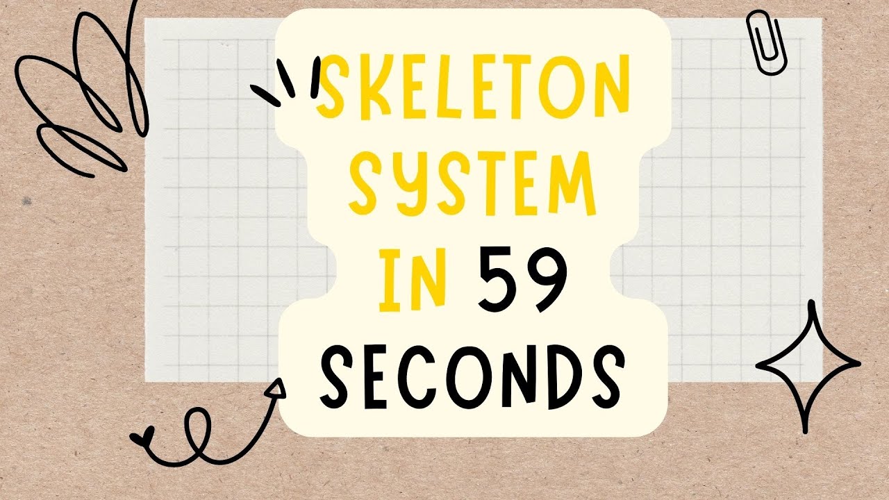 SKELETON SYSTEN IN 59 SECONDS | OVERVIEW | - YouTube