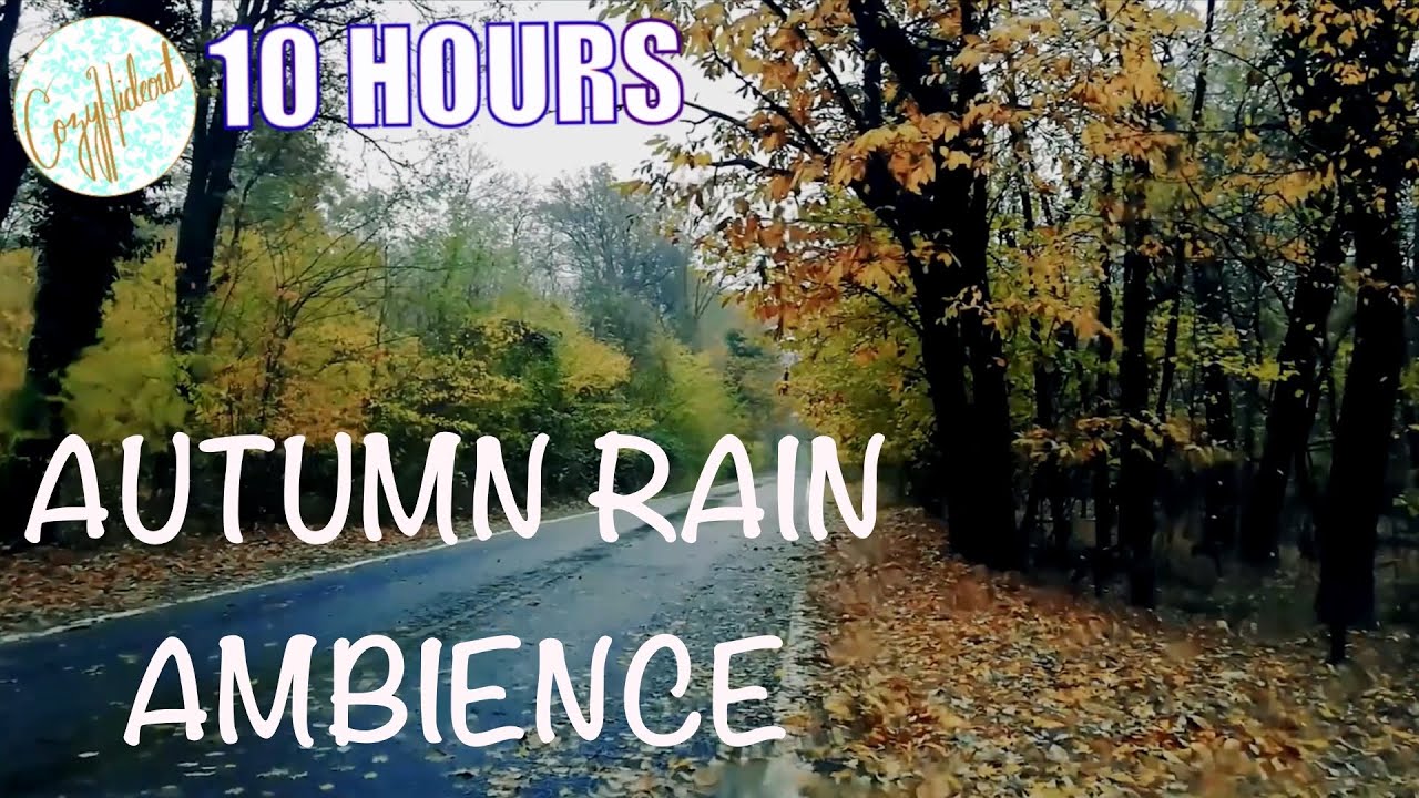 Relaxing Autumn Rain and Leaf Fall Ambience - Cozy Hideout - 10 Hours ...
