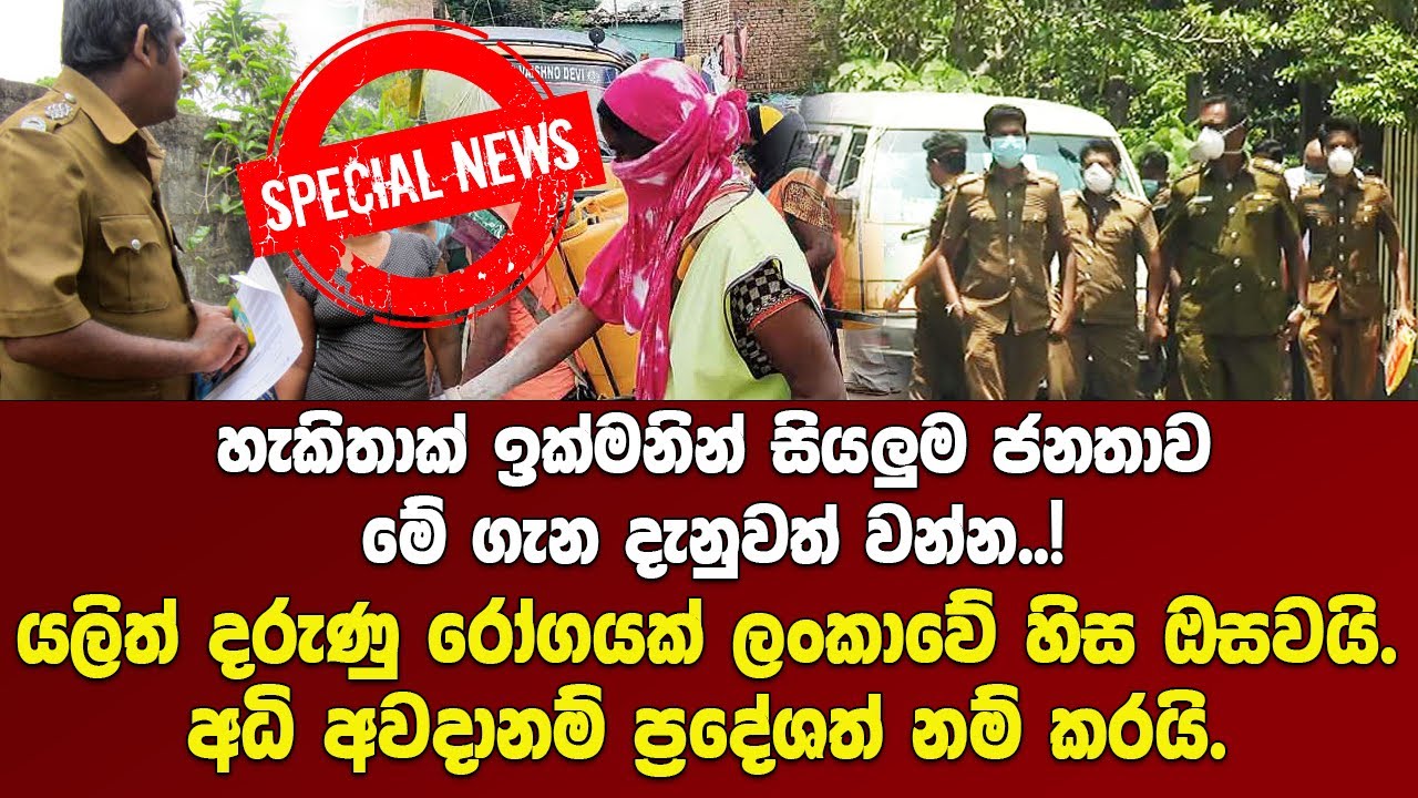දරුණු රෝගයක් ලංකාවේ යලිත් හිස ඔසවයි | Lanka News - YouTube