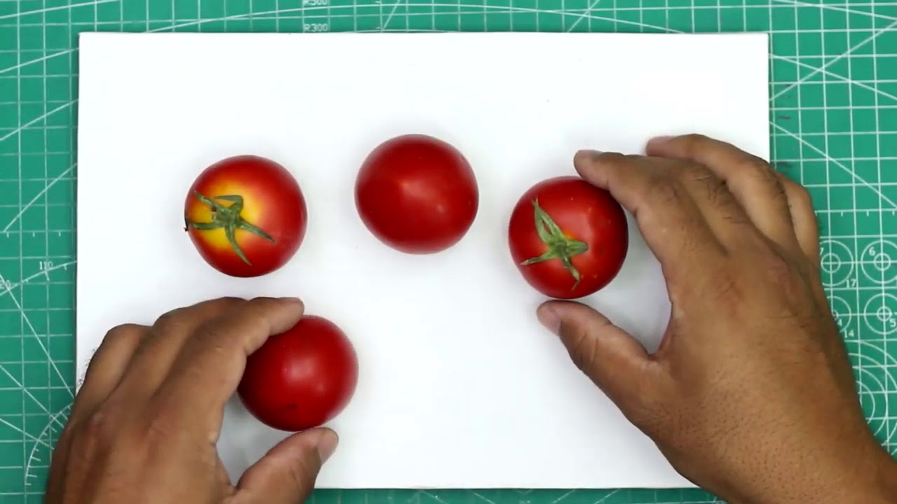 Science Experiments | Tomato Electricity Experiment - YouTube