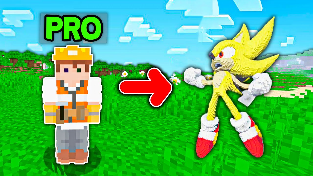 J'ai PAYÉ un Builder PRO pour GAGNER un Build Battle Minecraft.. - YouTube
