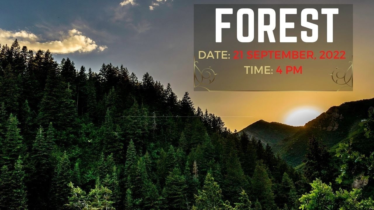 Forest in India | Indian Geography | SSC CGL 2022 | SSC CGL & CHSL Geography | Forests | UPSC ...