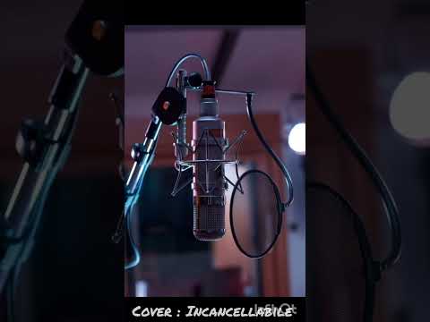 Cover: Incancellabile (Laura Pausini)