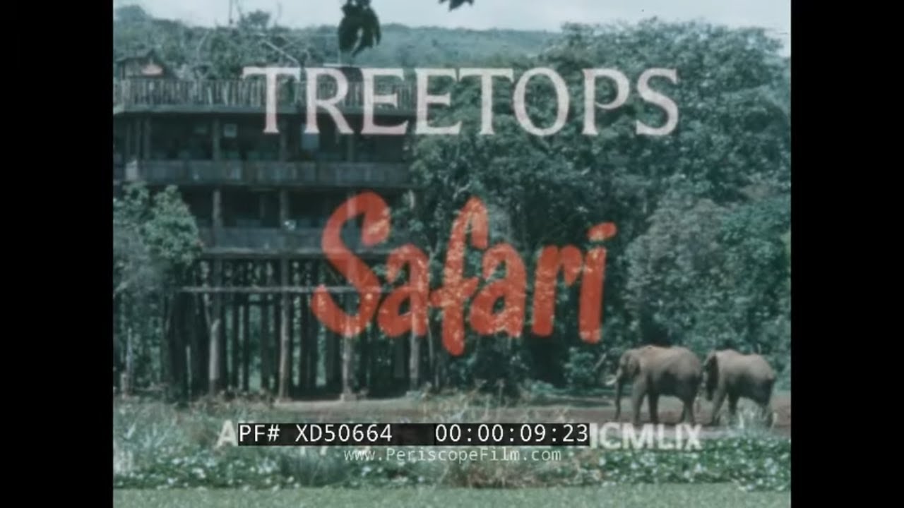 "TREETOPS SAFARI" 1960s VISIT TO TREETOPS LODGE HOTEL ABERDARE NATIONAL ...