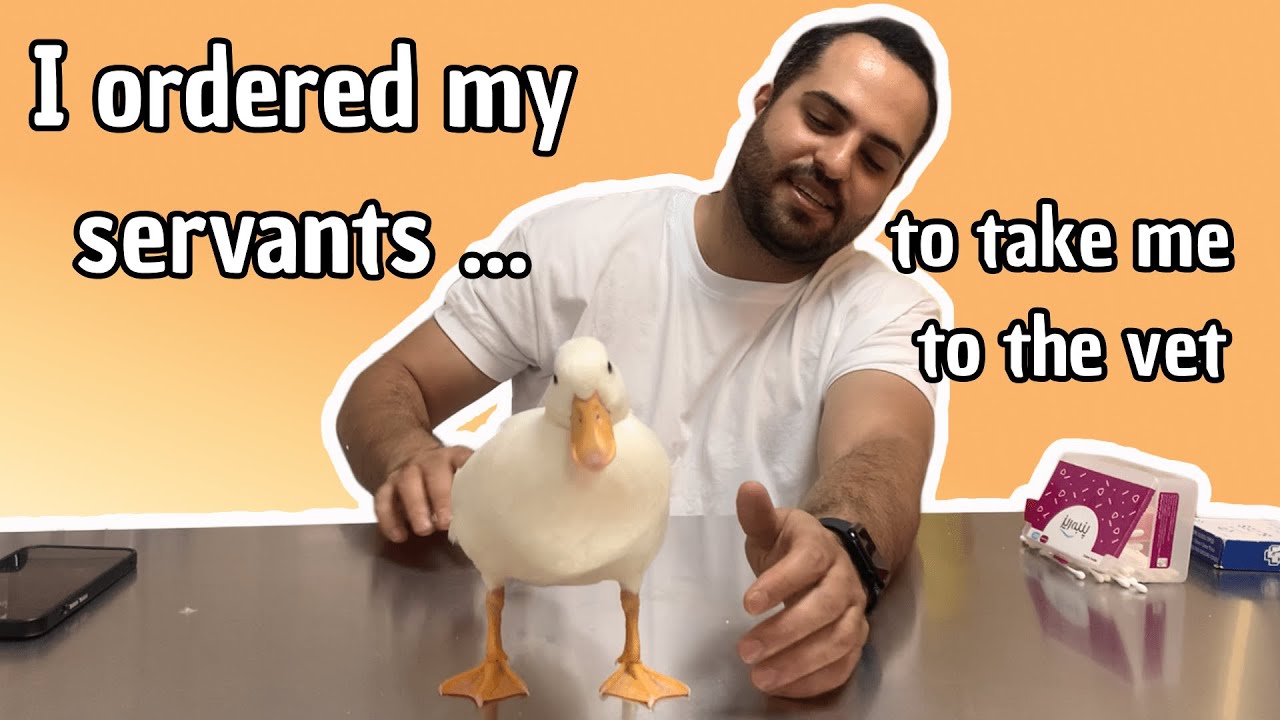 I ordered my servants to take me to the vet ... | Call Duck - Funny ...