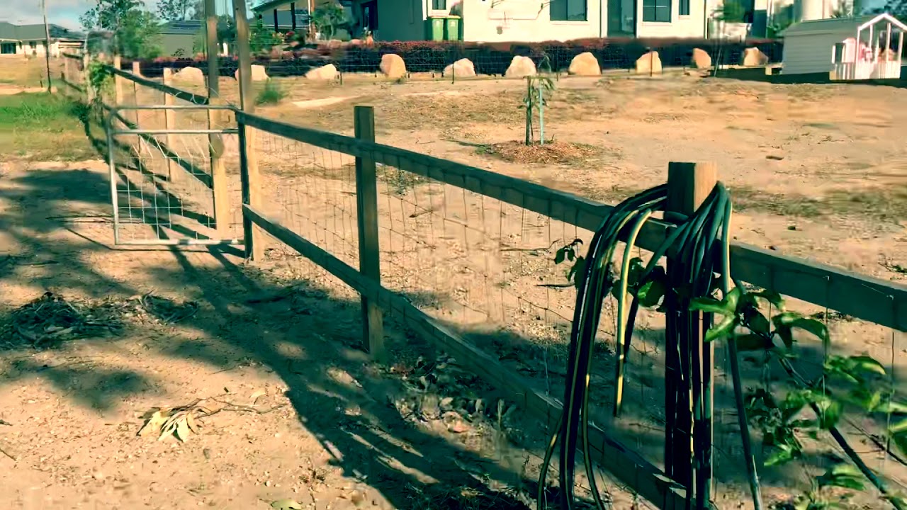 Our NEW 1 acre homestead - YouTube