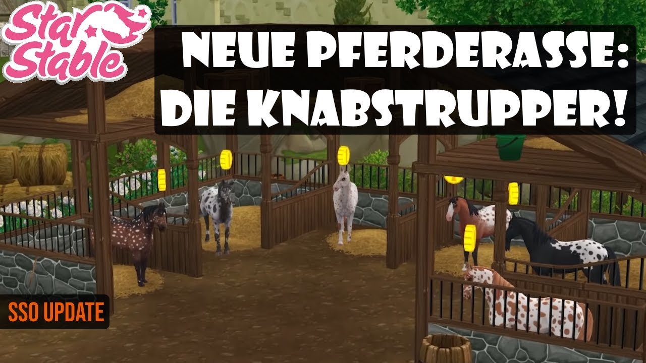 Neue Rasse: Der Knabstrupper (Pferdekauf) | Star Stable Online [SSO ...