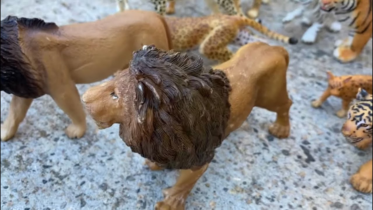 The Missing Cub | Animal Roleplay Ep. 2 - YouTube