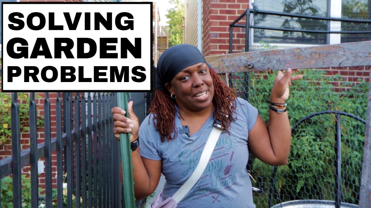 Solving Problems in the Garden - YouTube