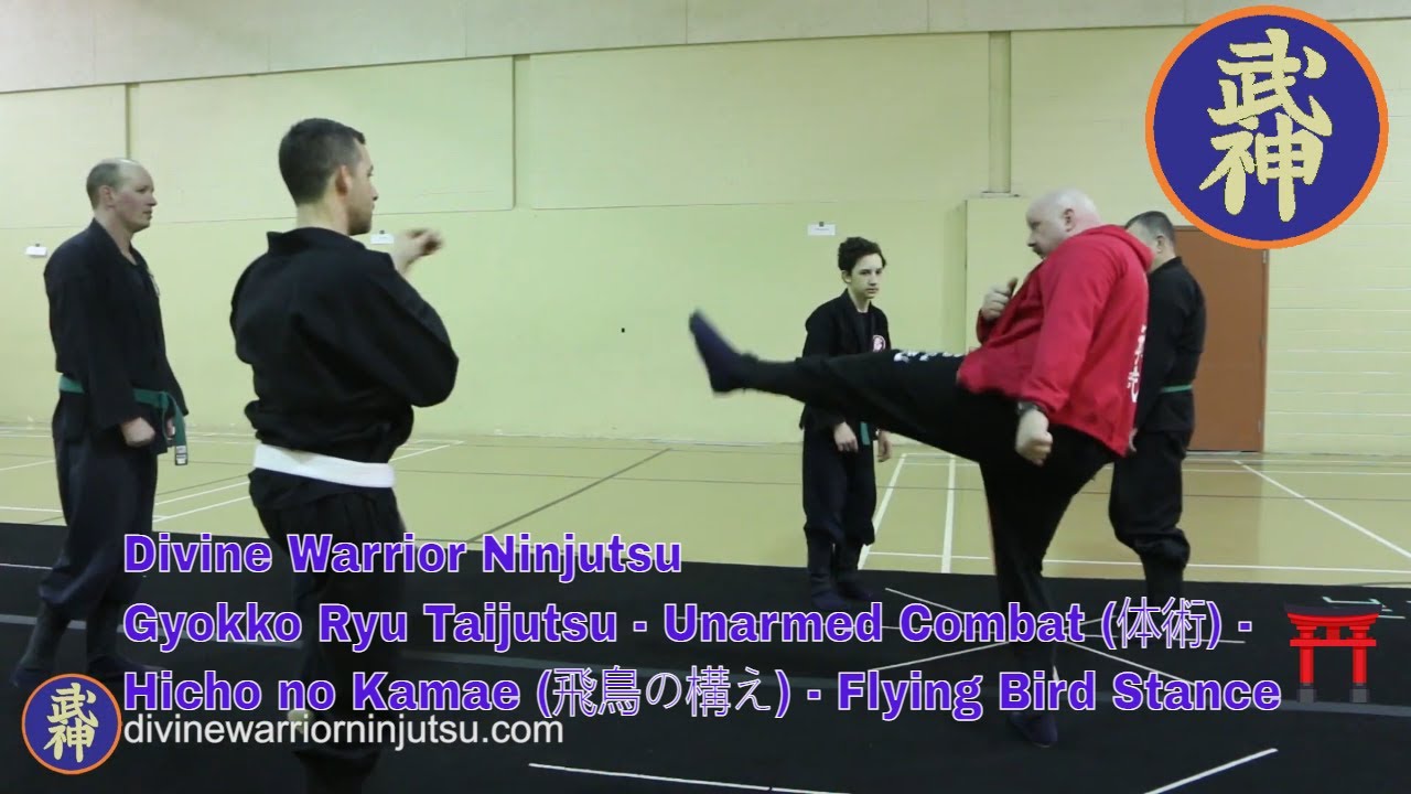 Gyokko Ryu Taijutsu - Unarmed Combat (体術) - Hicho no Kamae (飛鳥の構え ...