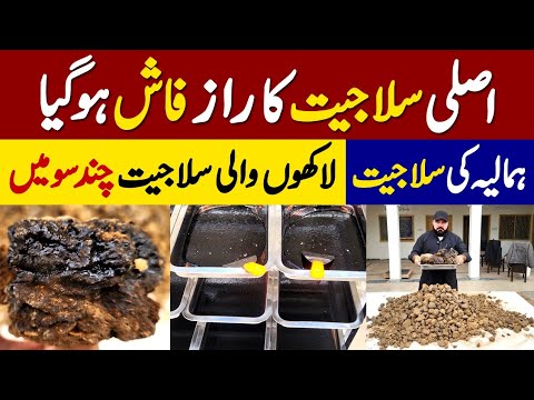 Pure himalayan shilajit / Shilajit processing factory / origional ...