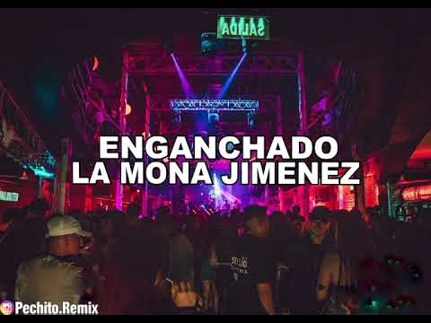LA MONA JIMÉNEZ ✘ ENGANCHADO ✘ REMIX FIESTERO ✘ PECHITO REMIX 🐒🎶