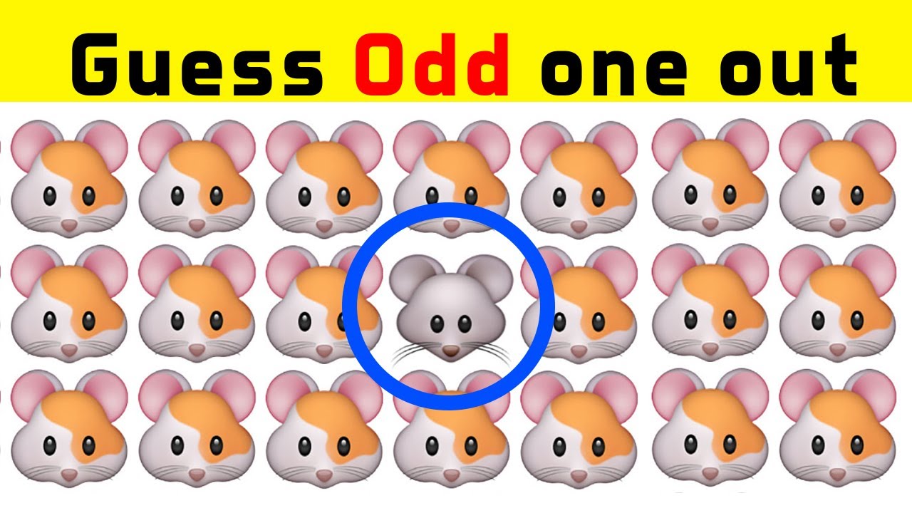 Find the Odd one out। Test Your eye and trick your brain by taking this ...