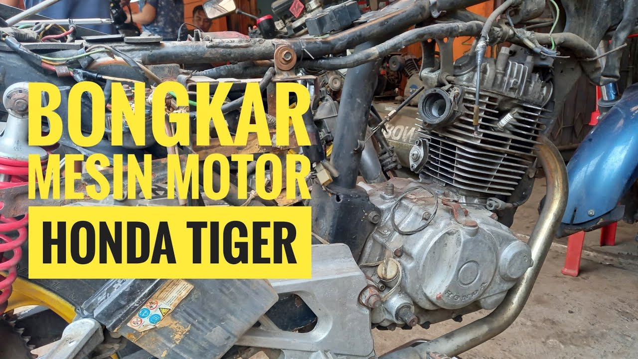 Mudah sekali bongkar mesin motor honda tiger - YouTube