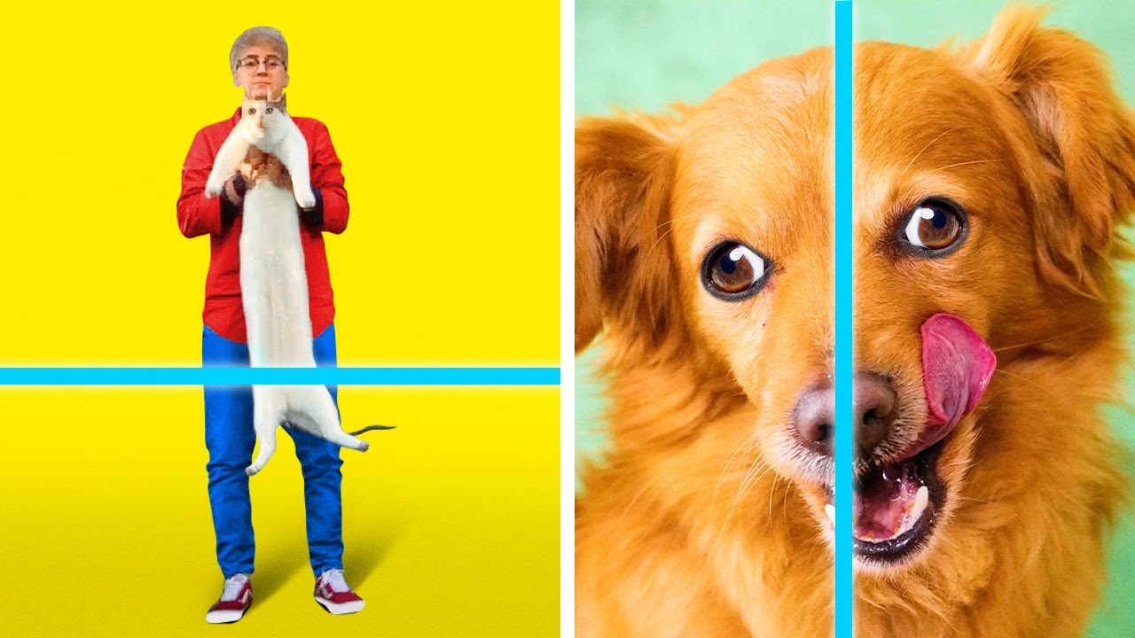 We Tested Viral TikTok Trends! Blue Line Filter! Funny DIYs and Hacks ...