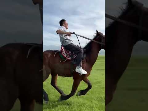 Horse riding, gallop - YouTube
